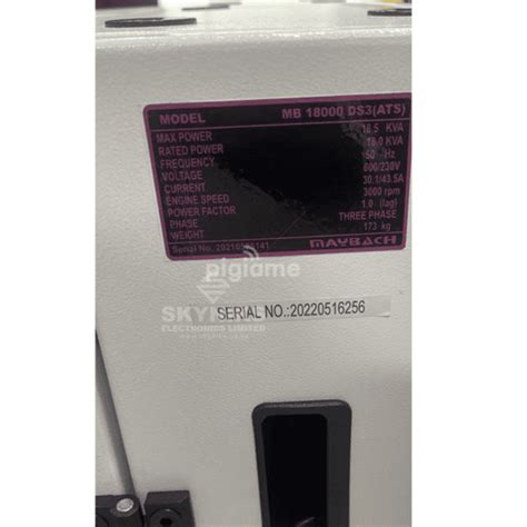 18kva Maybach Diesel Generator With Ats Skyniks