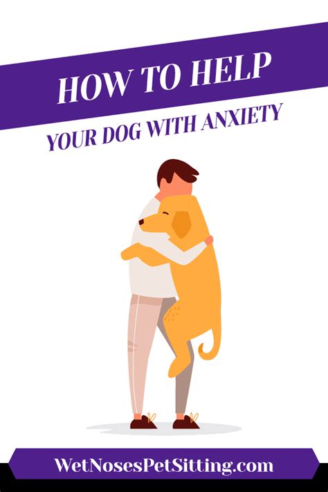 How To Help Your Dog With Anxiety Wet Noses Pet Sitting