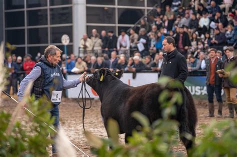 Javier Ezcurra el jurado más joven de la raza Angus en la Rural de