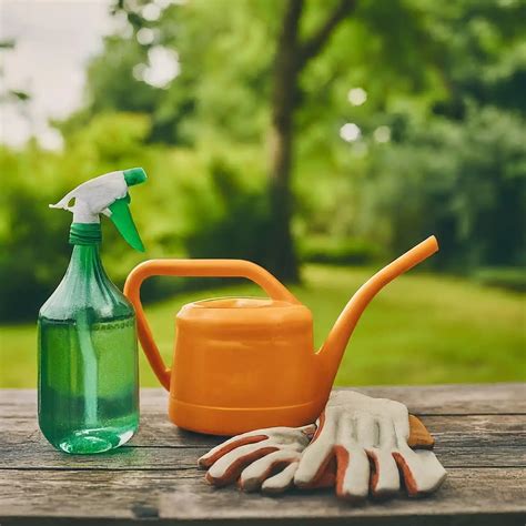 Conquer The Critters Diy Pest Control Recipes For Your Thriving Garden
