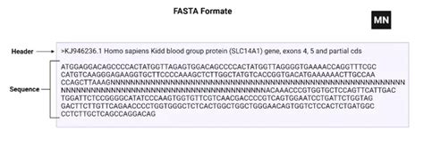 Fasta Definition Programs Working Steps Applications Biology