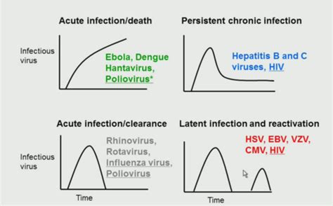 Clinical Virology Case Based Learning Flashcards Quizlet