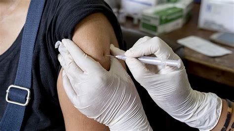 Allarme Dengue Anche In Italia Dopo Lesplosione In Brasile E Argentina