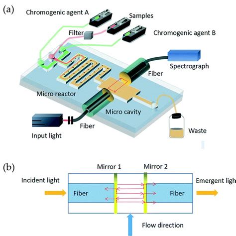 The Optofluidic Chips And Assembled System Used For Phosphate