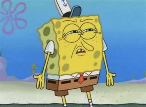 31 Ideas De Memes Bob Esponja Para Guardar Hoy Bob Esponja Memes De