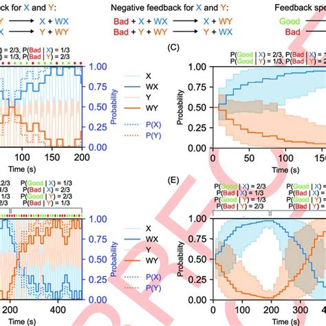 Probabilistic Decision Making In Stochastic Chemical Reaction Networks