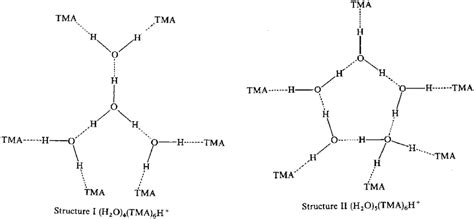 Structures Derived From Collisional Dissociation Of Mixed Protonated