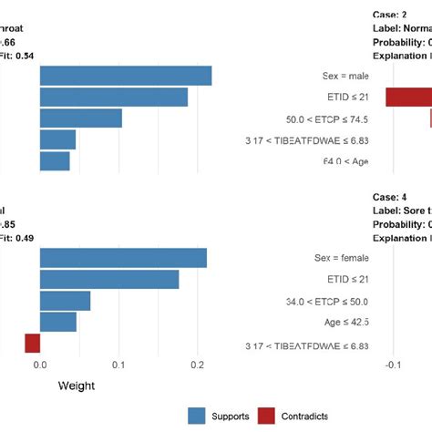 Interpretation Of The Neural Network With A Local Interpretable Model