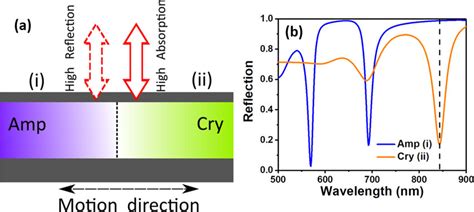 A Schematic Of Proposed Novel Rectangular Shaped Cry And Amp Phase Download Scientific