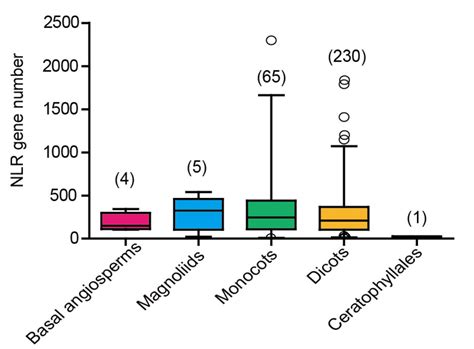 Anna 被子植物nlr抗病基因数据库，深入分析nlr基因的演化规律 Filll 飞荔生信博客