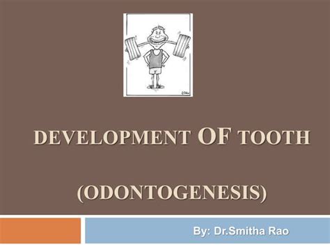 Development Of Tooth Pptx