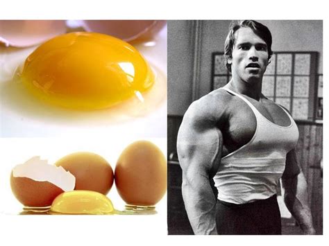Cuantos Huevos Crudos Debo Comer Para Aumentar Masa Muscular NH