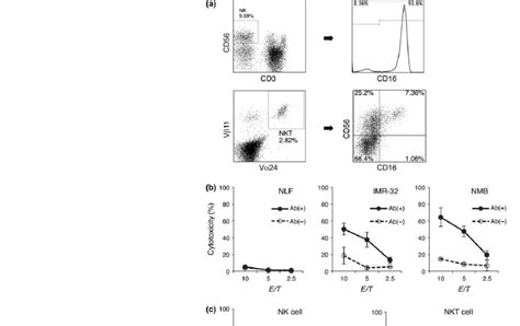 Natural Killer Nk Cell Mediated Antibodydependent Cellular