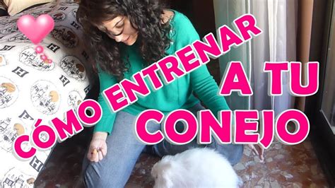 CÓMO ENTRENAR A TU CONEJO YouTube
