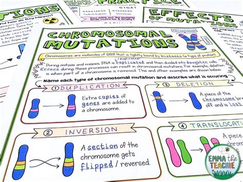 Fun And Effective Mutations Activities For High School Biology
