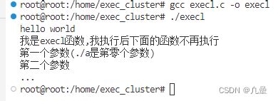 exec函数族 CSDN博客
