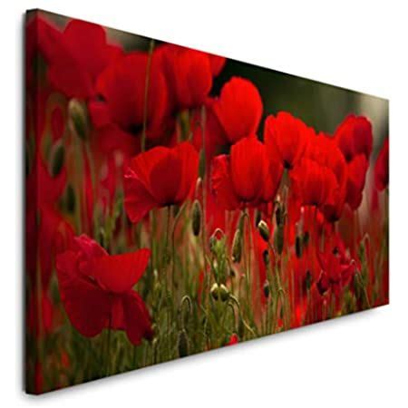 Murando Wandbild Mega XXXL Blumen Mohn 170x85 Cm Einteiliger XXL Format