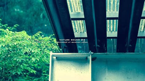 Nature Sound 34 One Hour Rain Sound The Most Relaxing Sounds