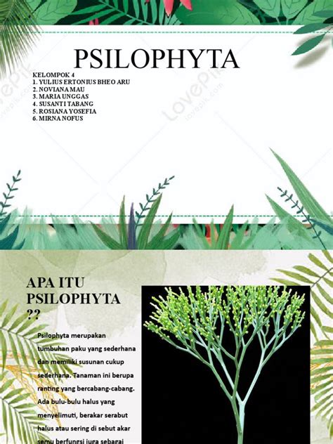 Psilophyta Kelompok 4 Pdf