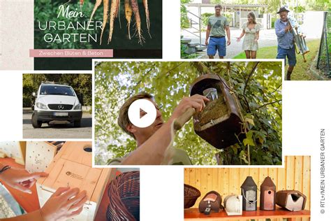 Rtl Living Video Nest Boxes For Birds At Schreiner Group Schreiner