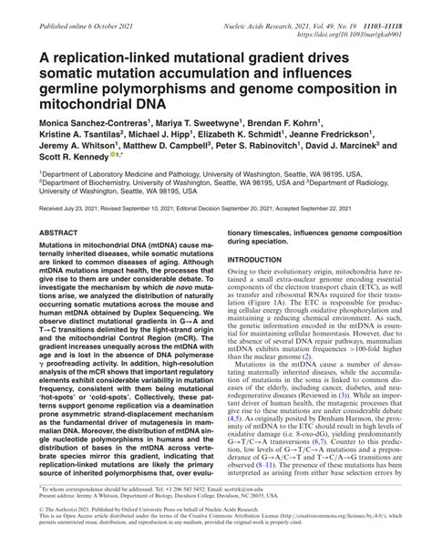 Pdf A Replication Linked Mutational Gradient Drives Somatic Mutation Accumulation And