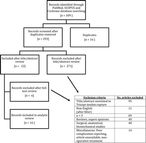 Tricep Tendon Repair Rehabilitation