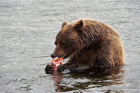 ""Гурман!" "Gourmet!"" by Andreas Koerner | Redbubble