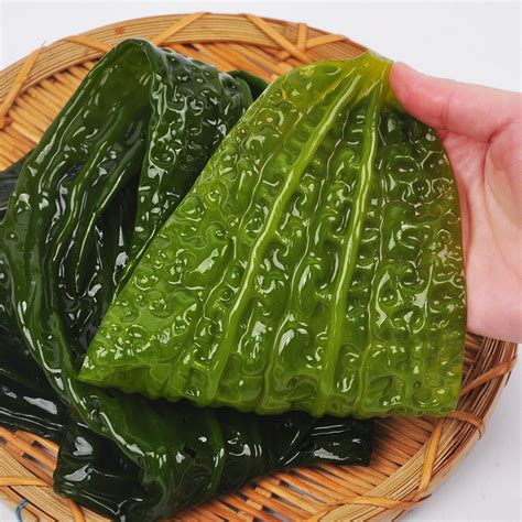 완도직송 염장 곰피 15kg 홈플러스 택배배송