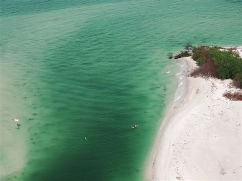 Paddle Above Wonders On This Award Winning Glass Bottomed Kayak Tour In