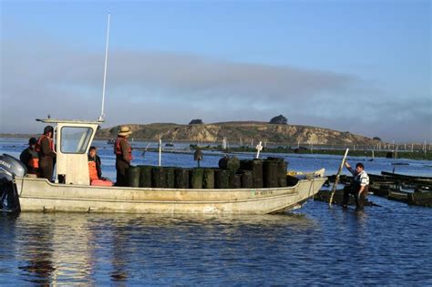 A New Study Of Aquarium Of The Pacific And Collaborators Suggests That