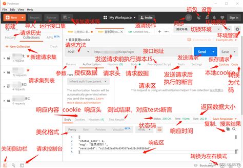 Postman接口测试postman 显示二进制图片 Csdn博客