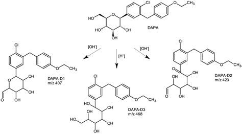 Degradation Pathways Of Dapagliflozin Dapa 31 Download