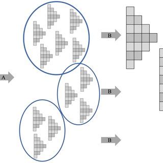 Three Stages And Six Steps Of A Q Methodological Research Process