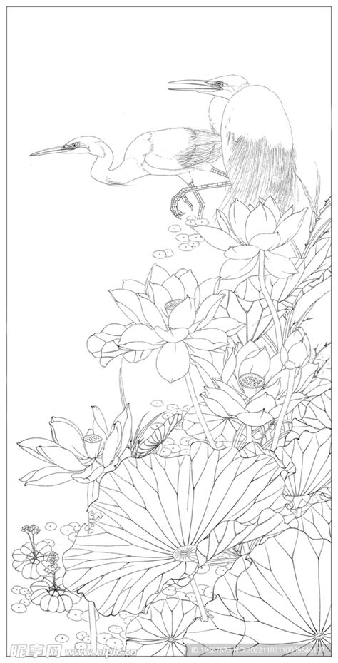 荷花线描设计图 绘画书法 文化艺术 设计图库 昵图网