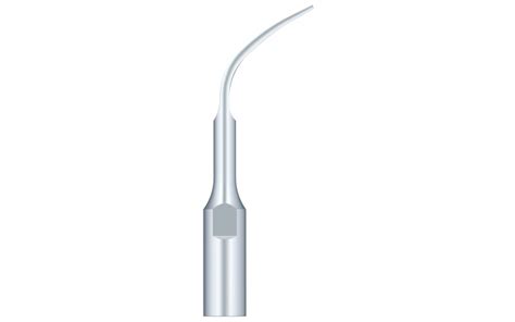 Supragingival And Subgingival Scaling Gk4 Smartchoice Dental Construction