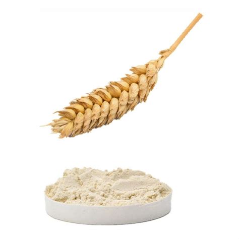 Gluten De Trigo Nutrydía Perú