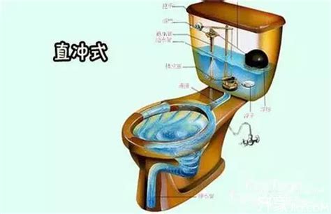 虹吸式马桶原理图 虹吸式马桶剖面图 虹吸式马桶 第12页 大山谷图库
