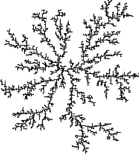 Solved Python Code For Diffusion Limited Aggregation Dla
