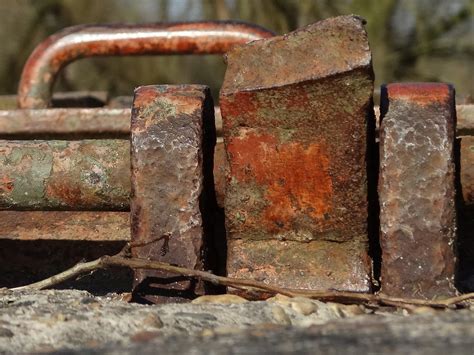 Dsc06754 2 Corrie Nijenmanting Flickr