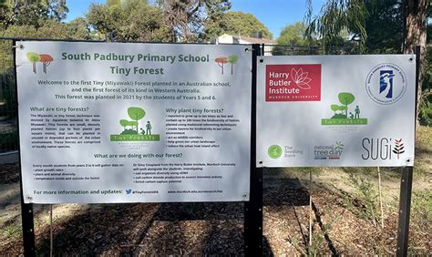 Miyawaki Urban Tiny Forest Project South Padbury Primary School