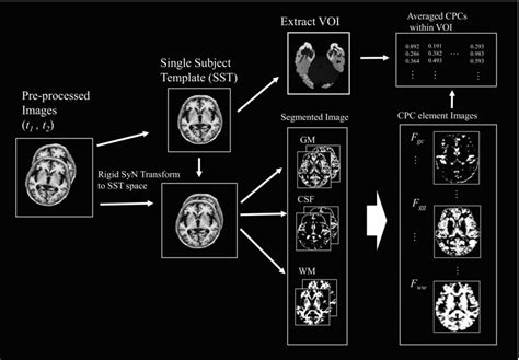Flowchart To Calculate Cpc Elements Within The Volume Of Interest From Download Scientific