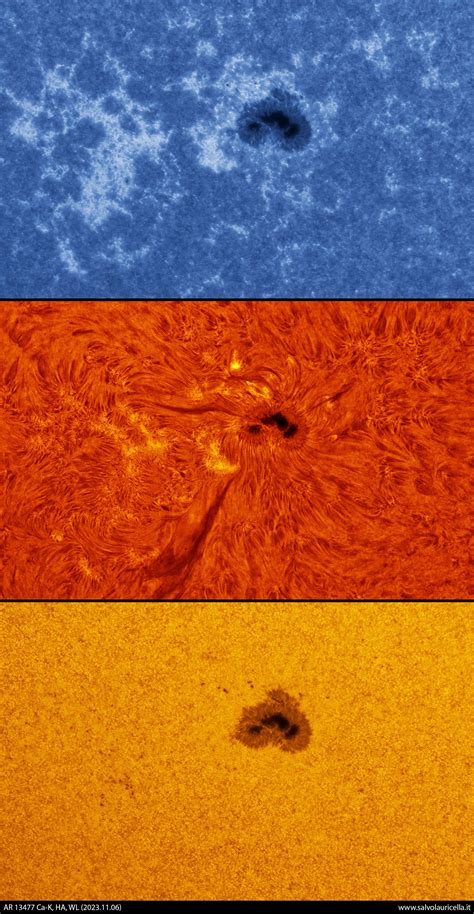 AR 13477 WL, Ca-K, H-Alpha - Spektrum der Wissenschaft