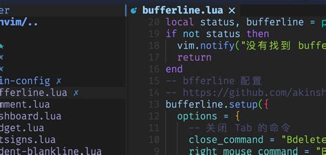 一些重要的小建议 · Nshen Learn Neovim Lua · Discussion 49 · Github