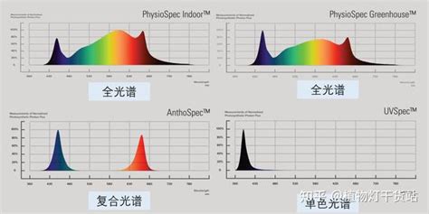 植物灯基础参数一：光谱 知乎