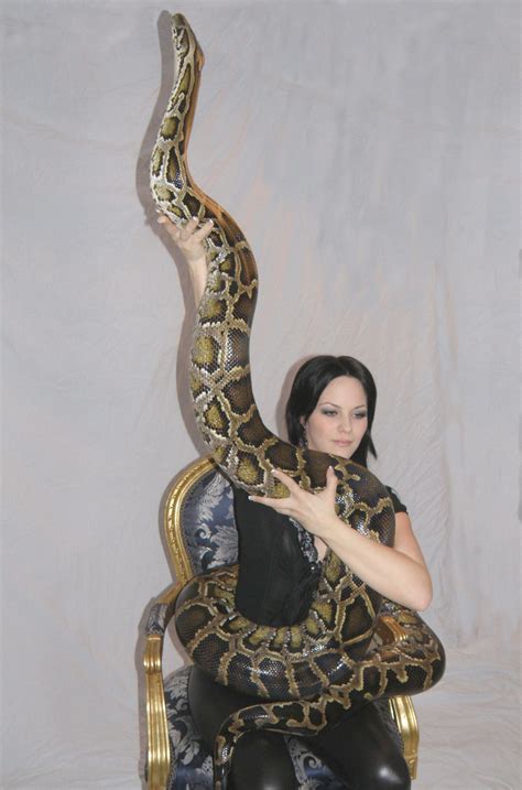 0176 By Pythonkiss On DeviantArt
