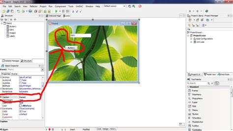 Matakaca Cara Menggunakan Delphi Untuk Pemula