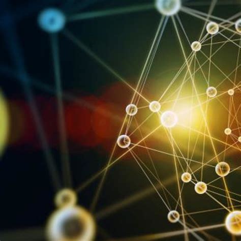 Adhari Saeed United Arab Emirates University Al Ain Uaeu