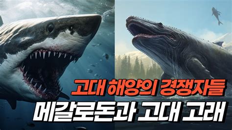 메갈로돈과 고대 고래 바실로사우르스의 번성과 멸종에 관한 이야기 Youtube