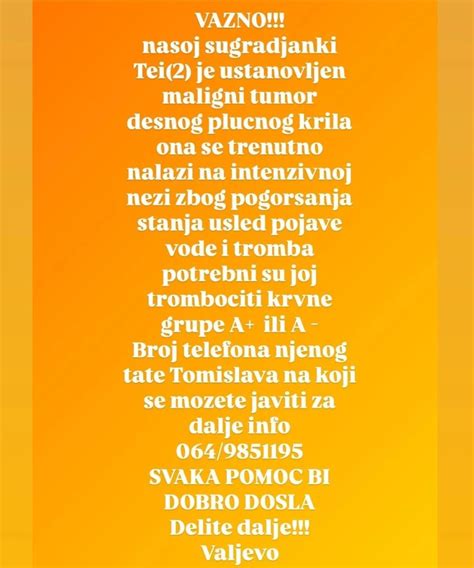 Dnevna Doza Beograda Vesti I Informacije Za Beograd