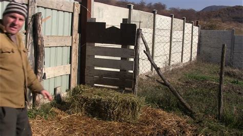 როგორ ვაჭამოთ იონჯის პრესი საქონელს Youtube